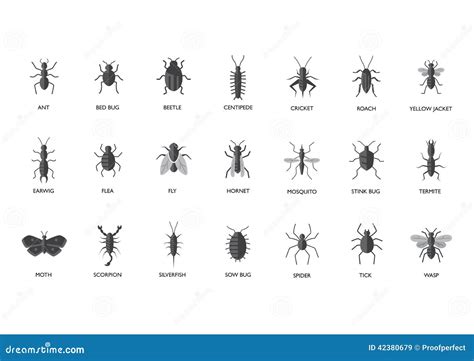 Pests Insects Illustration Stock Vector Illustration Of Disgust