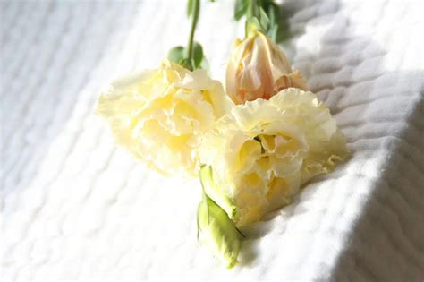 朋友之間送什麼鮮花合適 蘭亭花集