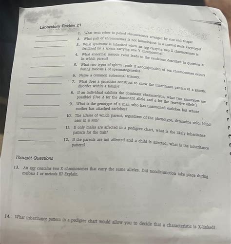 Solved Laboratory Review 21 1 What Term Refers To Palred