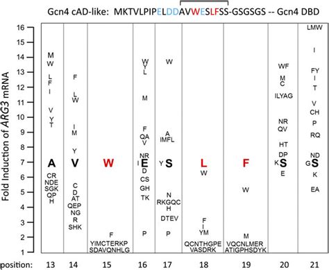 Sequence Specificity Of The Gcn4 Cad Motif Residues Within A
