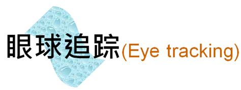 眼球追踪 Csdn博客