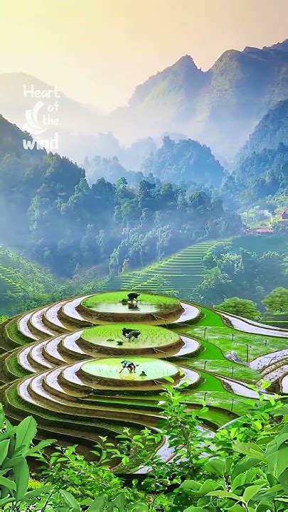 아름답고 평화로운 자연과 함께하는 마음의 휴식 Youtube