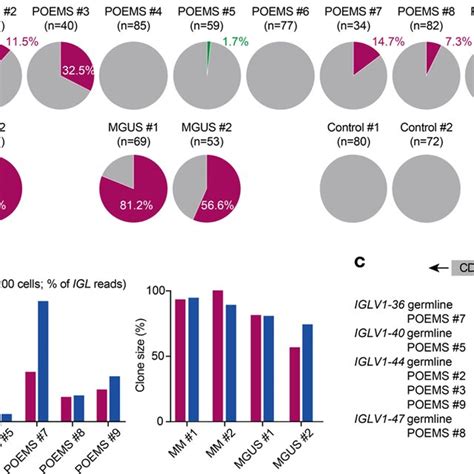 Identification Of Clonal Plasma Cells In Poems Syndrome A Igl Download Scientific Diagram