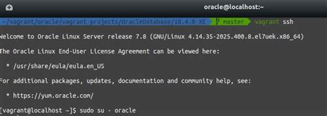 Oracle Xe Con Vagrant