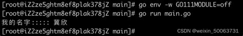 Golang 引入包报错package Xxx Is Not In Gorootpackage Gocodeproject04