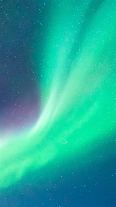 Гоо сайхан Үсчин Хумс заслын бизнес эрхлэгчид Beauty Hair Nail