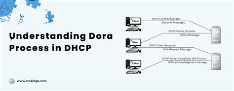 What Is Dora Process In Dhcp Best Explained 2023 Network