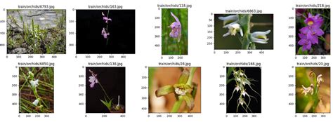 Build A Neural Network That Classify Images Binary Classification