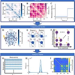 Workflow Consisting Of Input Data Computational Model And Analysis Scheme
