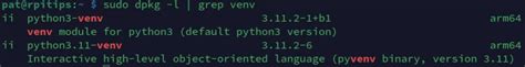 A Beginners Guide To Virtual Environments In Python Raspberrytips