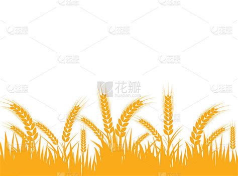农业小麦图标矢量插图设计模板