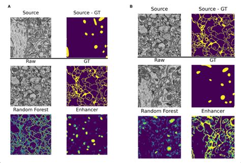 Failure Case Different Segmentation Tasks In Source And Target
