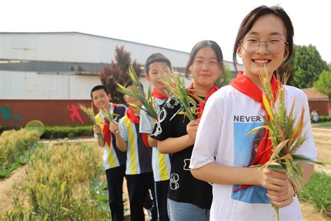 芒种 芒种节气到我们麦收忙 寿光渤海新城实验学校 宽高教育集团
