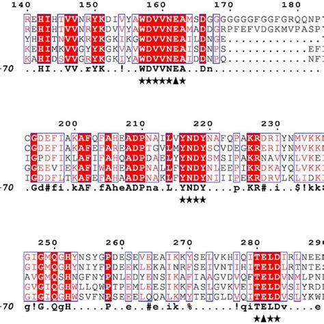 Fragment Of The Multiple Alignment Between The Xylr Amino Acid Sequence