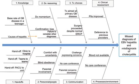 A Fishbone Diagram Illustrating Factors That Might Have Contributed To