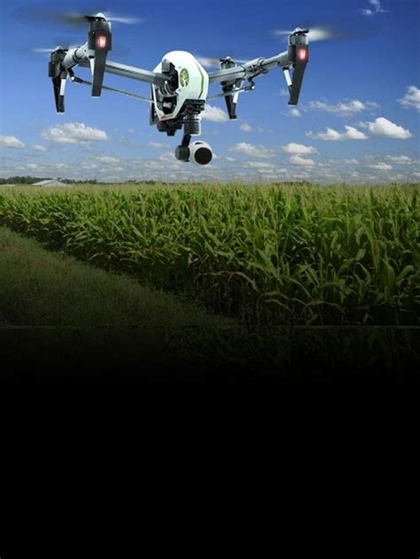 Machine Learning Program Monitoring Crops And Predicting Productivity