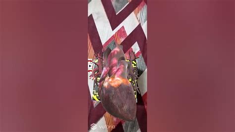 Techxr Developer Cube Youtube