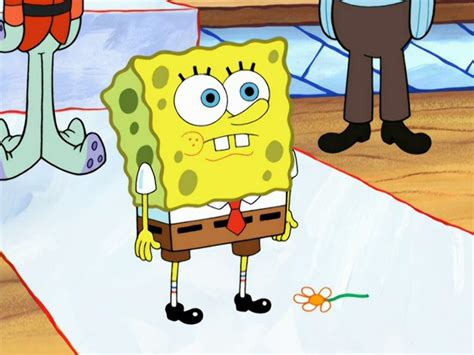 All Spongebob Eras Cartoon Amino