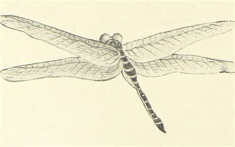 tricks tips carlos sandoval olascoaga observable