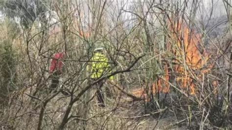 出警途中遇山火，交警秒变“消防员”所有人澎湃新闻 The Paper