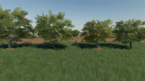 FS19 Placeable Fruit Trees Pack 1 0 0 0 FS 19 Placeable Objects Mod Download