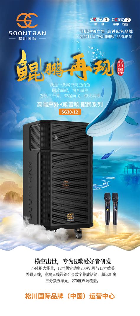 鲲鹏SG30 12 广州特美声电器有限公司