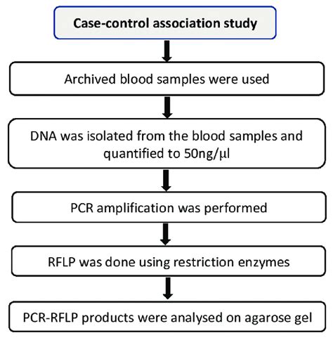 Flow Chart Depicting Methodology Download Scientific Diagram