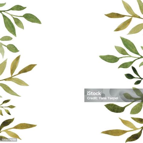 녹색과 마른 잎의 프레임 수채화 그림 배경 여름 봄 그림 그려진 이미지 천연 야채 소박한 스타일 0명에 대한 스톡 벡터 아트 및 기타 이미지 Istock