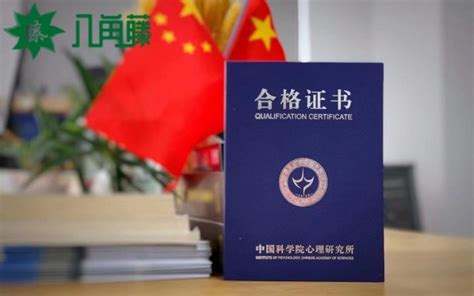中科院心理咨询师证书