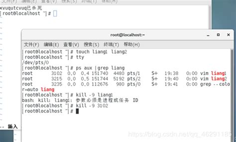 linux 进程管理process 航行学园