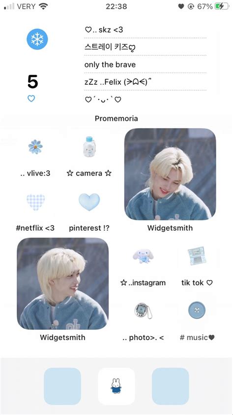 My Ios Layout Loveleefel1x