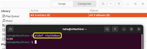 How To Kill A Process In Linuxubuntu By Pid Linuxways