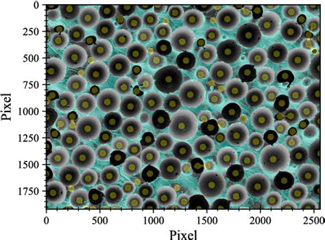 Figure 1 From Statistical Characterization Of Microcellular Polyurethane Foams Microstructure