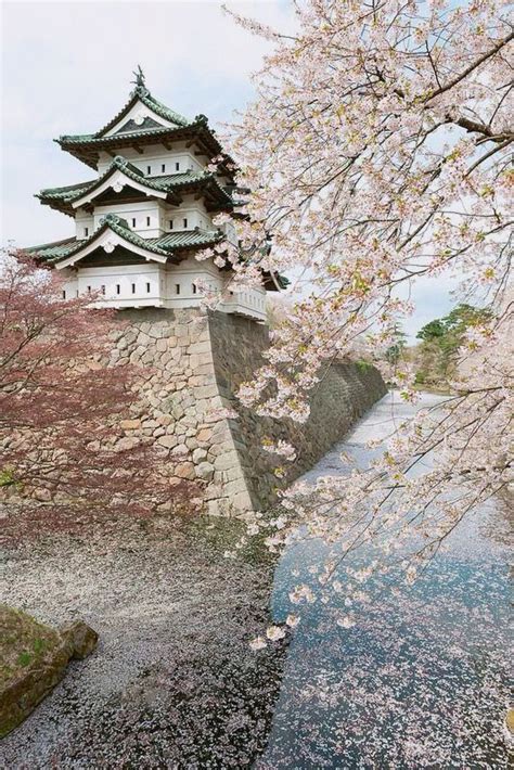 Pin By Trang On Cherry Blossoms Japan Travel Japanese Castle Travel