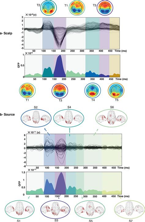 Results Of The Microstate Segmentation Algorithm Applied On The Erp Of