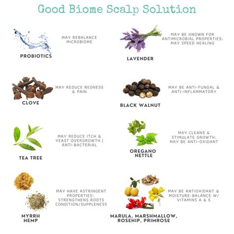 Good Biome Scalp Solution And Scalp Oil Bundle Microbiome Friendly