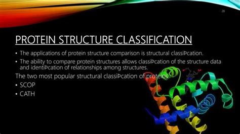 Structural Bioinformatics Pptx Chemistry Science