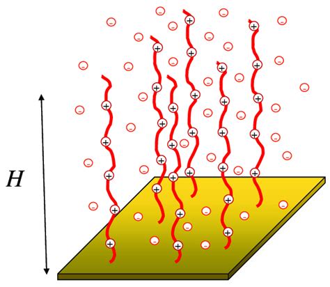 Schematics Of A Polyelectrolyte Brush N Is The Number Of Monomer Units