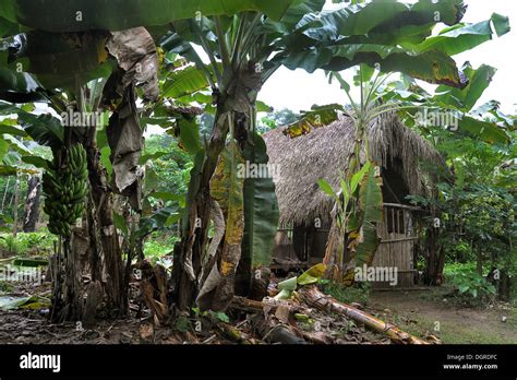 Indisches Dorf Stockfotos Und Bilder Kaufen Alamy