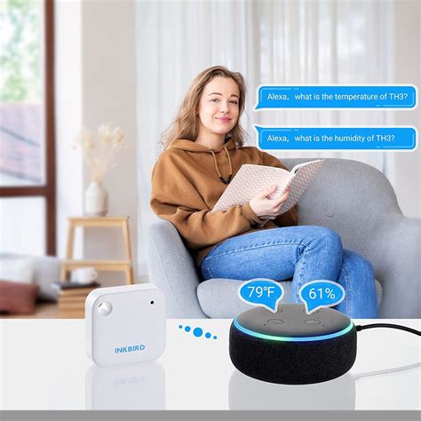 Inkbird Wifi Thermometer Hygrometer Monitor Smart Temperature Humidity Sensor Ibs Th3 With App