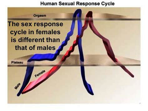 FEMALE SEXUALITY A CLINICIAN POINT OF VIEW IHAB YOUNIS M D Ppt Video Online Download