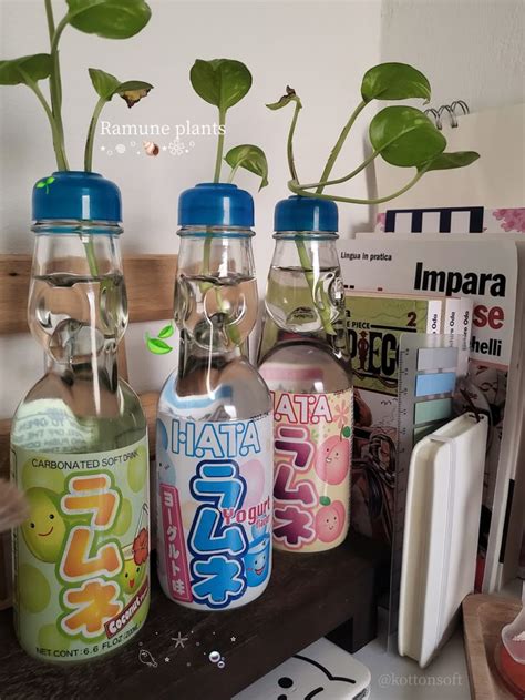 Ramune Plants ₊˚ʚ 🌱 ₊˚ ﾟ Ocean Room Decor Cool Room Decor Cute