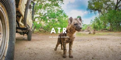 Why Website Color Schemes Matter And How To Use Them Right