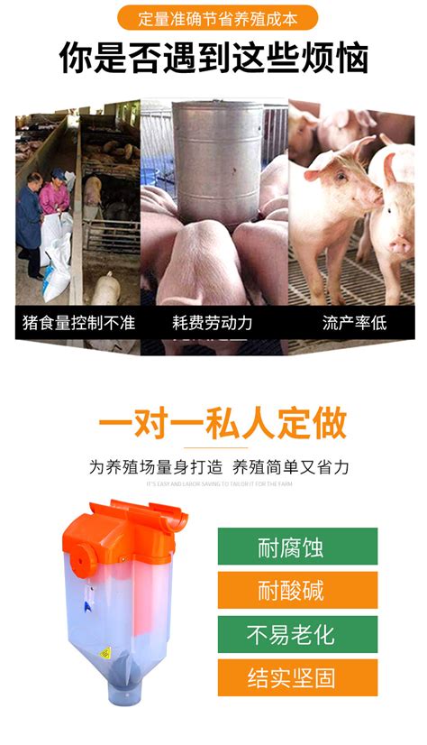 厂家供应猪场定量杯喂料养猪 自动下料喂料料线定位栏定量下料桶 阿里巴巴