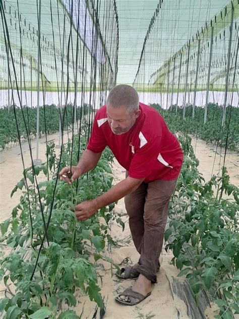 بيع كل انواع البيوت المحمية ولواحقها والاستشارات الفلاحية