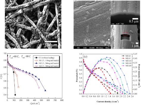 Titanium Coated Gdl Left Sem Micrograph Of The Ti Felt Substrate Download Scientific Diagram