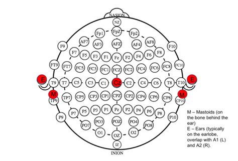 Effect Of EEG Reference Choice On Outcomes Sapien Labs Neuroscience Human Brain Diversity