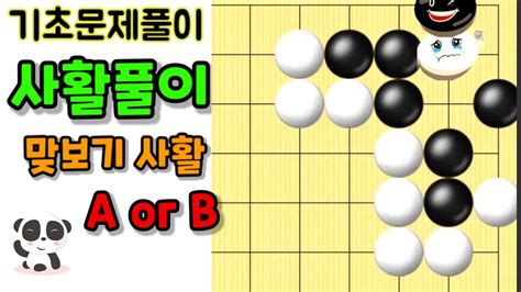 바둑기초14 맞보기로 푸는 사활문제 바둑기초바둑배우기 Youtube
