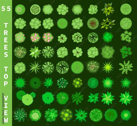 Different Trees Top View View From Above Set For Architectural And Landscape Natural Green