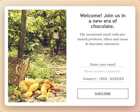 Best SMS Popup Tips Examples To Capture Quality Leads